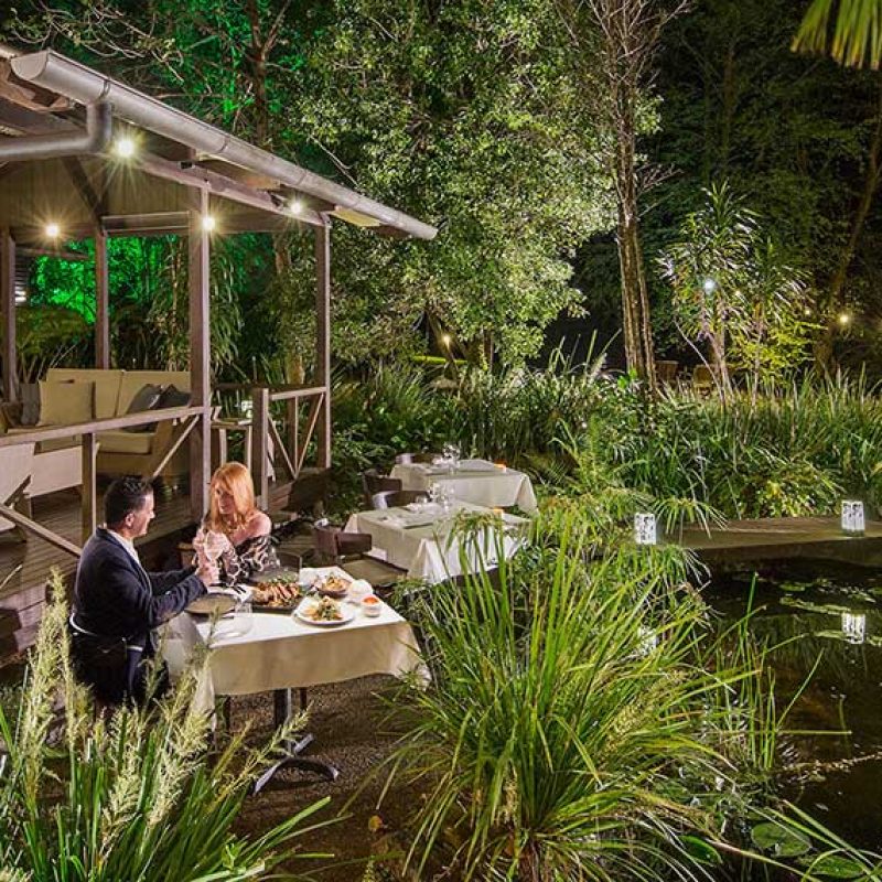 Helicopter Lunch Tours - Book Direct and Save | Bekaa Air